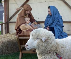 Living Nativity, the reason for the season - InMaricopa